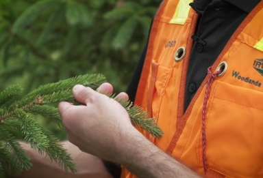 Irving Consumer Products | Sustainability